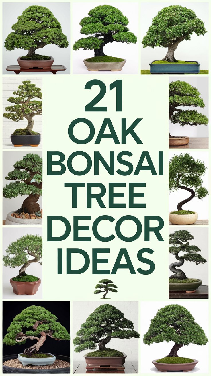 21 Oak Bonsai Tree Decor Ideas for Every Room